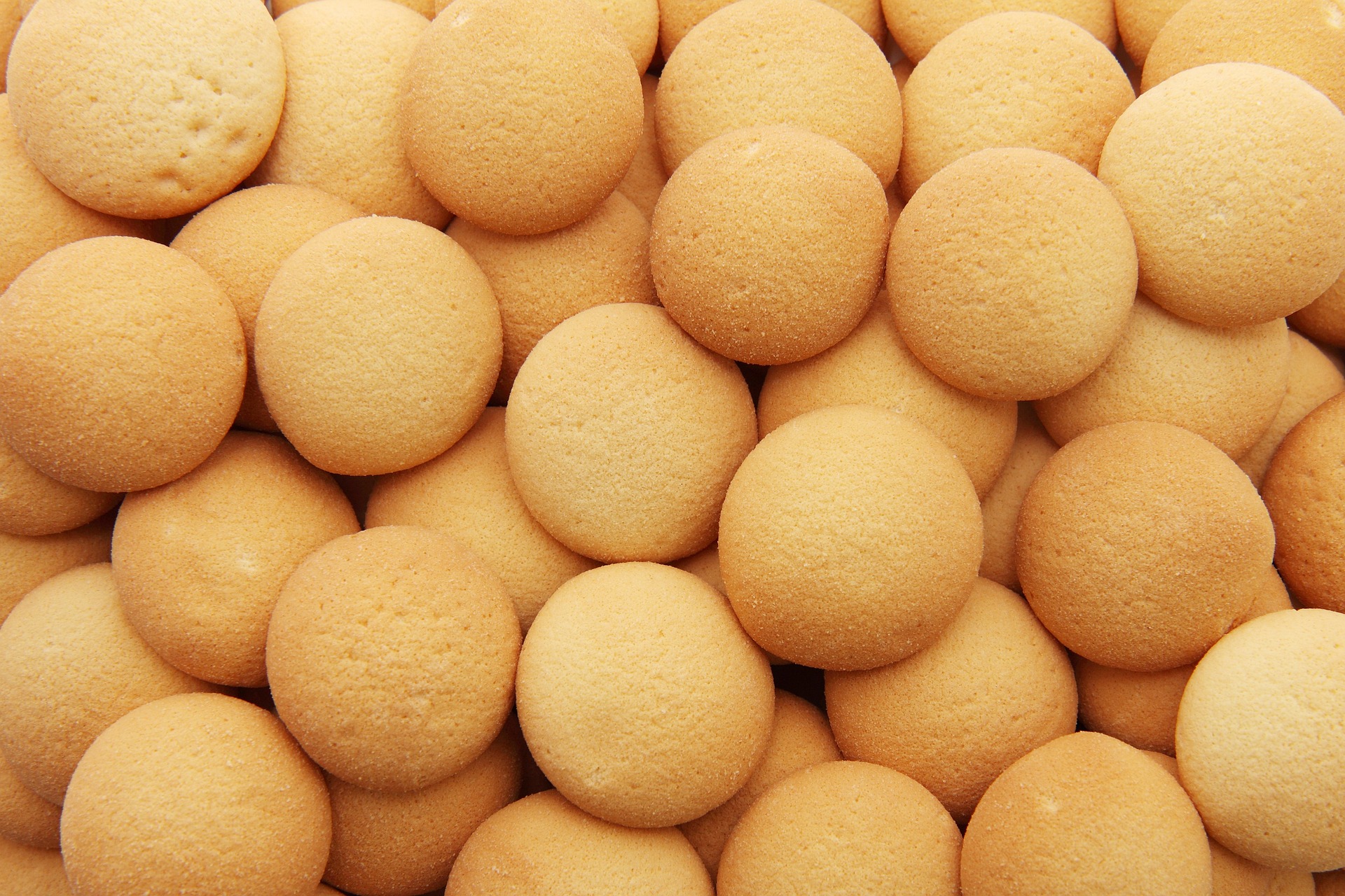 Simple Cookies - Shepherd's Biscuits